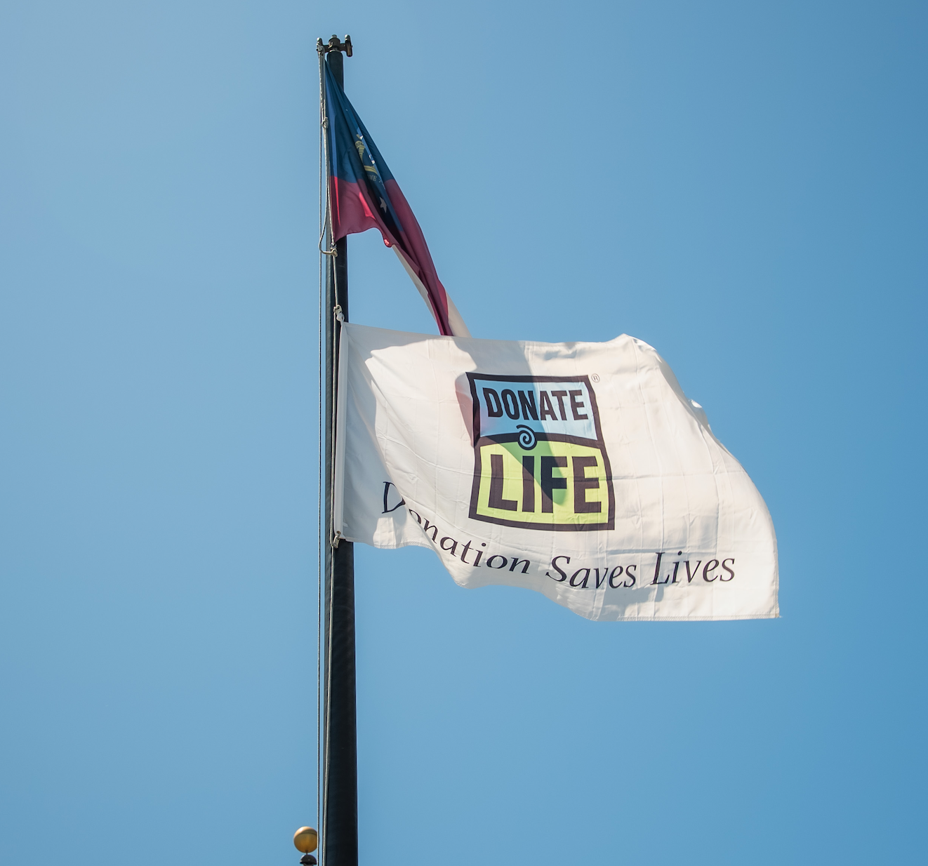 Phoebe Celebrates National Donate Life Month 2025: Let Life Sing ...